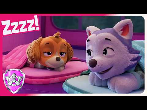 Girls Sleep Over CLub | Skye PAW Patrol | Spin Kids Playground | Cartoons for Kids
