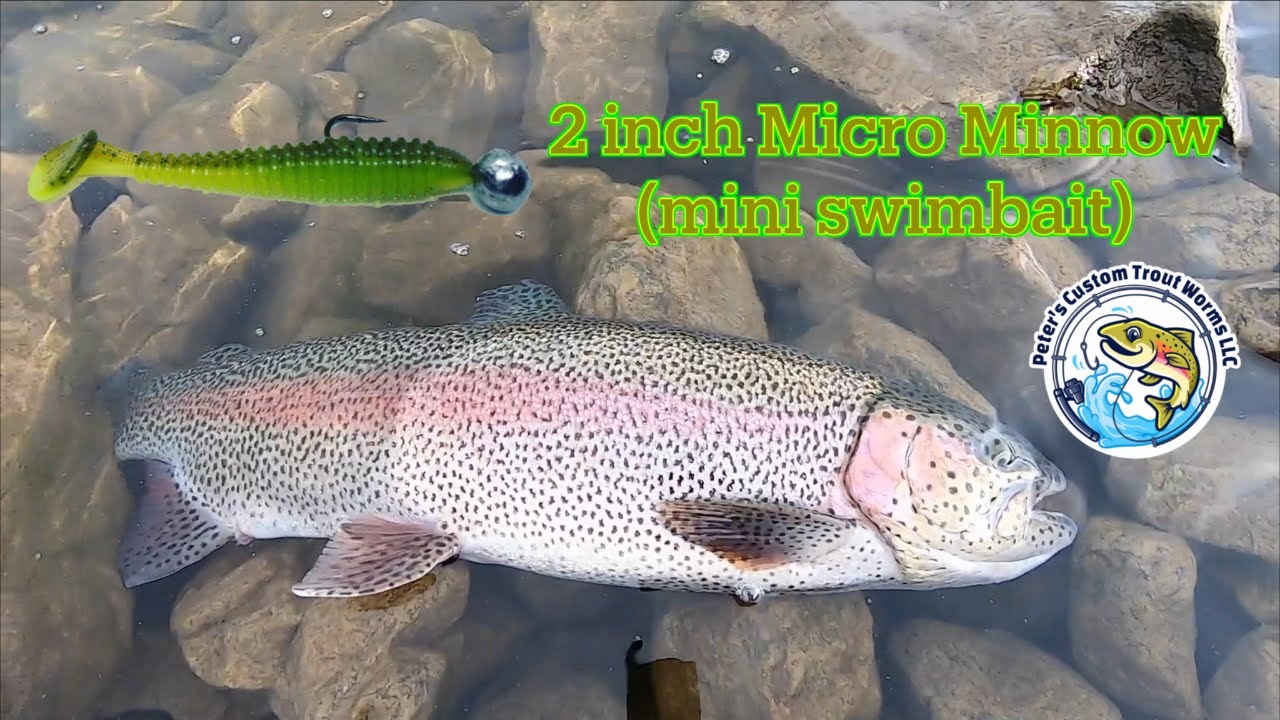2 inch Micro Minnow Trout Fishing (mini swimbait) - YouTube