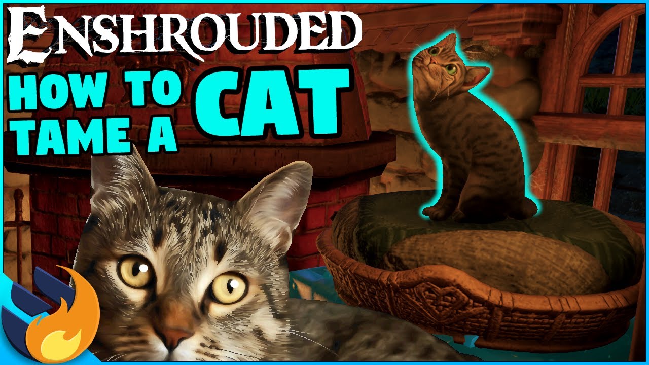 How To Get CATS In Enshrouded - Souls of the Frozen Frontier - YouTube