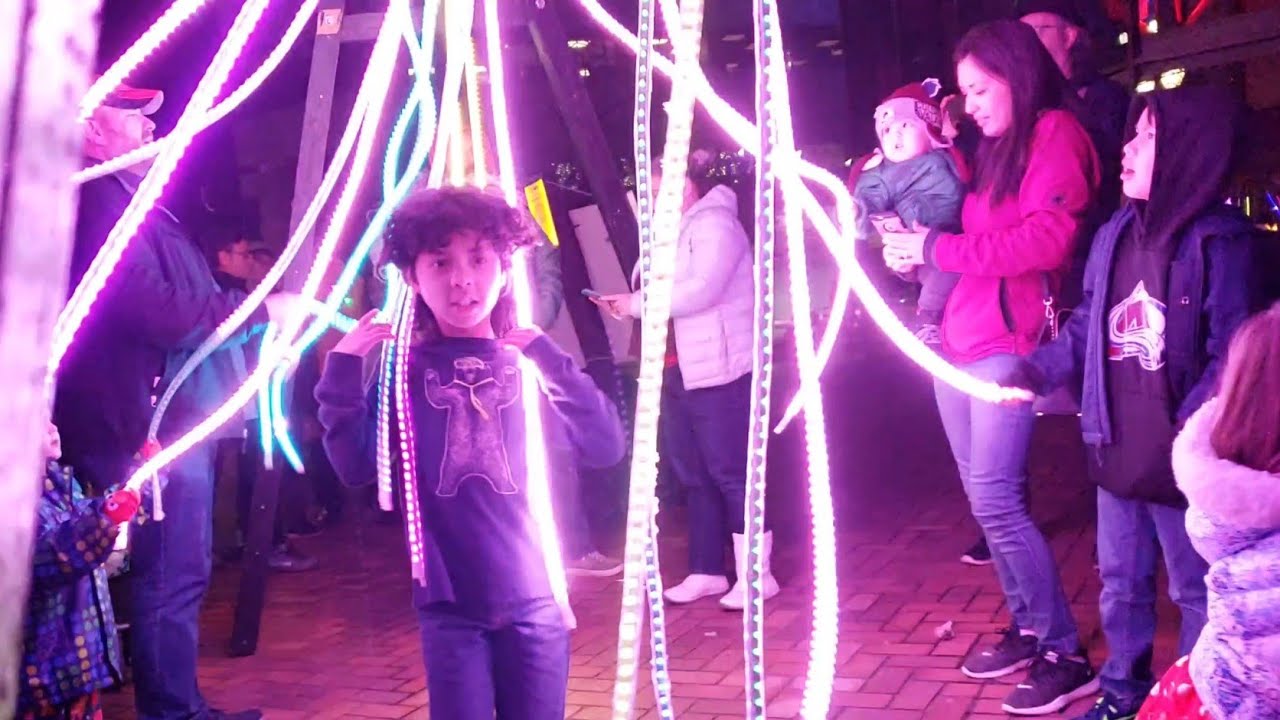 Portland Winter Light Festival /show 😍 - YouTube