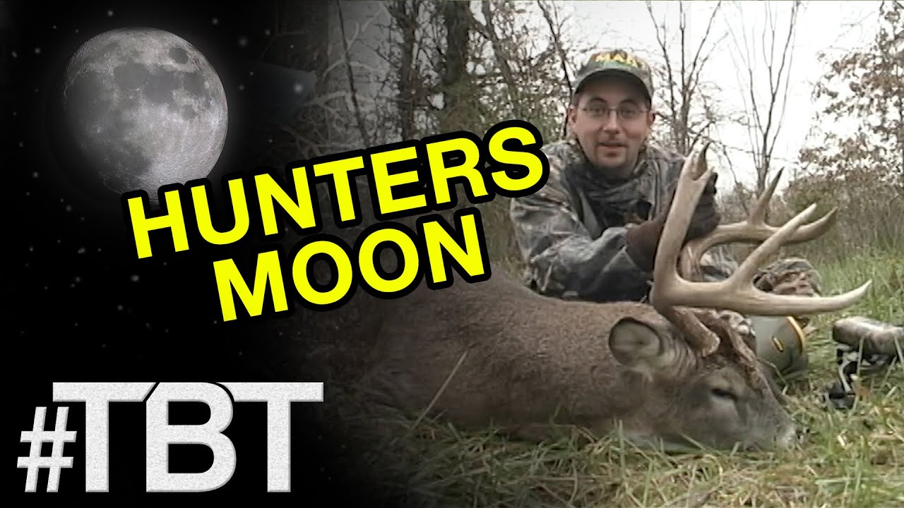 Mark and Terry Drury Call in a THICK Whitetail! - YouTube