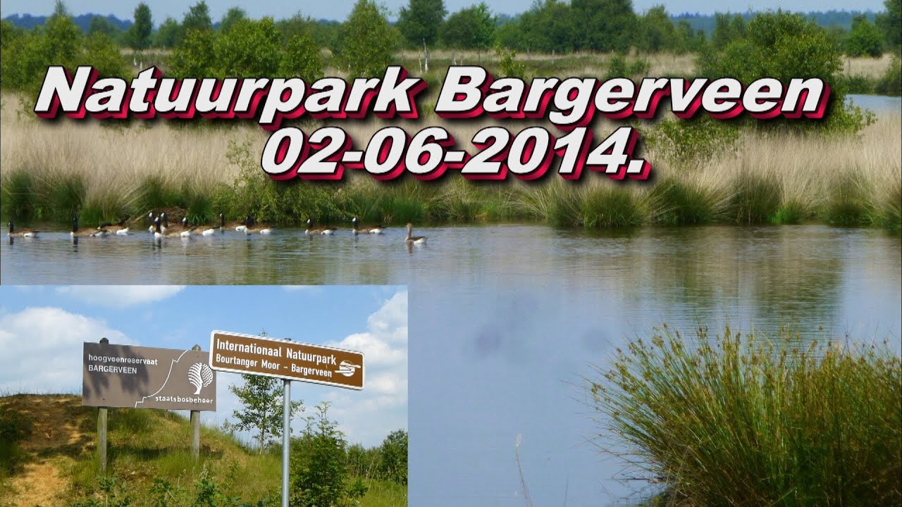 Natuurpark Bargerveen 02 06 2014 - YouTube