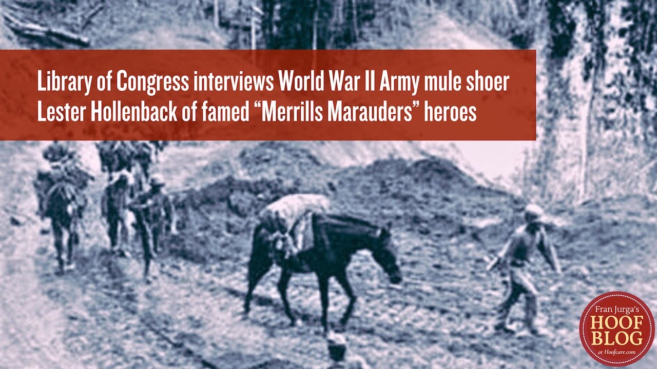 Lester Hollenback Library of Congress interview Merrill's Mauraders ...