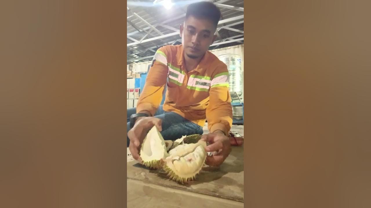Belah duren lurr #video #views #durian #buah #enak #lokal #pecintadurian #komunitas #mantul #fyp ...