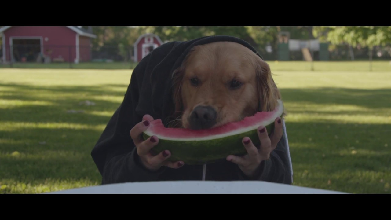 Marcus Alexis - WMLMND (Official Music Video) - YouTube