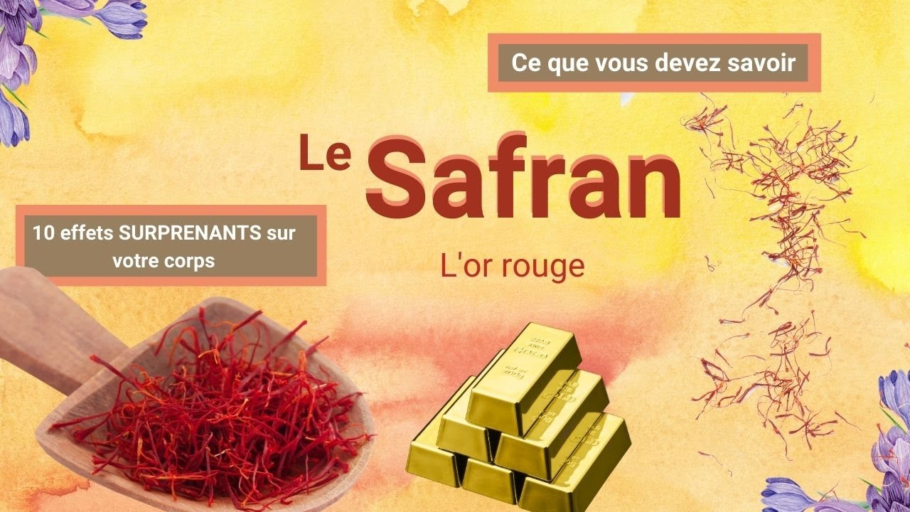 Le SAFRAN, une épice qui vaut son pesant d'or. #saffron #safran # ...