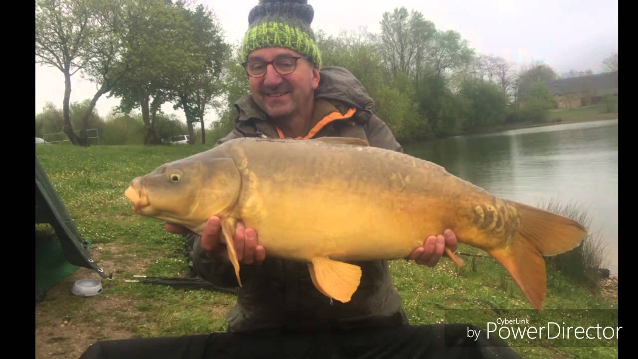 Carpa trothy 48 h - YouTube