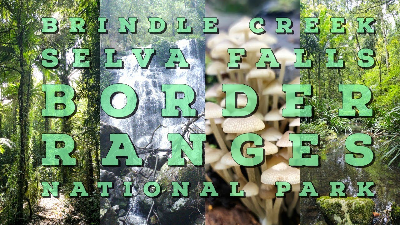 Brindle Creek and Selva Falls. - YouTube