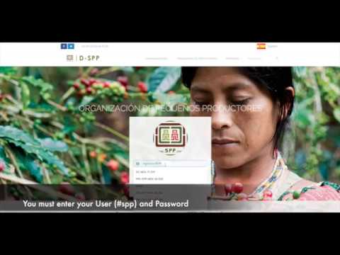 SPP Tutorial: Filling the d-spp certification application (SPO) - YouTube