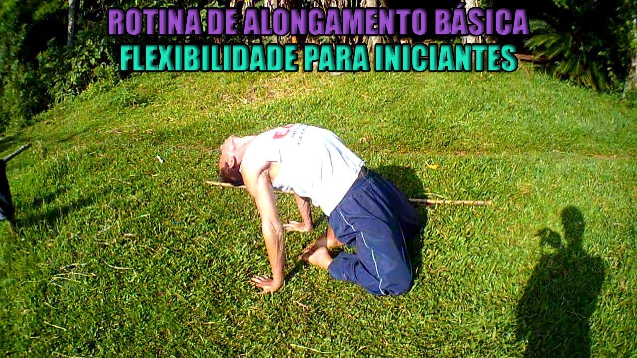 ROTINA DE ALONGAMENTO BÁSICA - FLEXIBILIDADE PARA INICIANTES- front ...