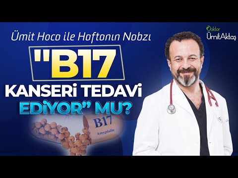 B17 \