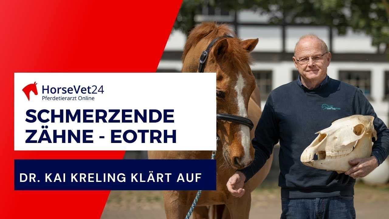 EOTRH beim Pferd, wenn die Zähne schmerzen. EOTRH erkennen - YouTube