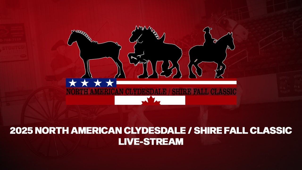2025 North America Clyde/Shire Fall Classic - YouTube