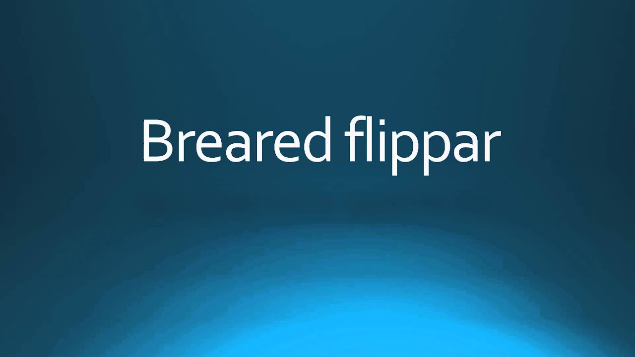Introduktion till Breared flippar! - YouTube