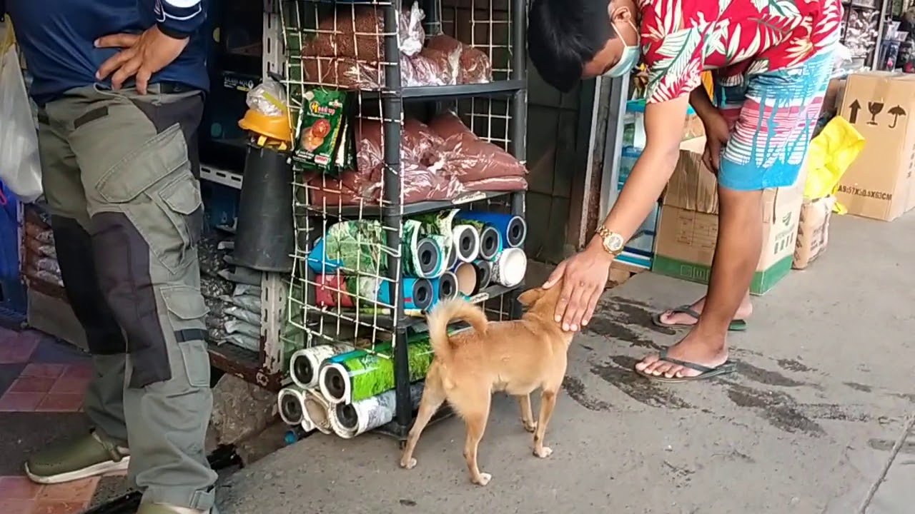 Cartimar's Adventure Plants naman☘️ - YouTube