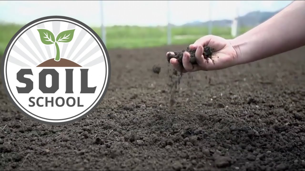 Soil School: Using predictive soil mapping to inform better soil ...