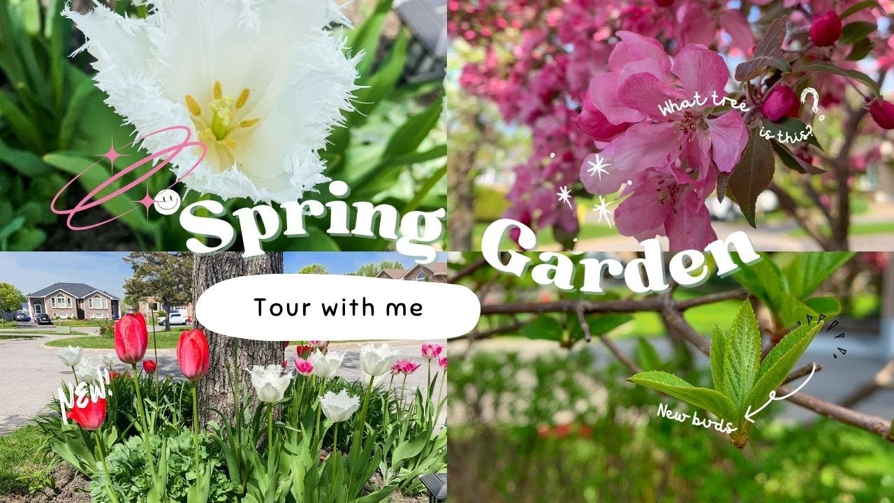 Spring Garden Tour | Tour with me | At home Gardening - YouTube