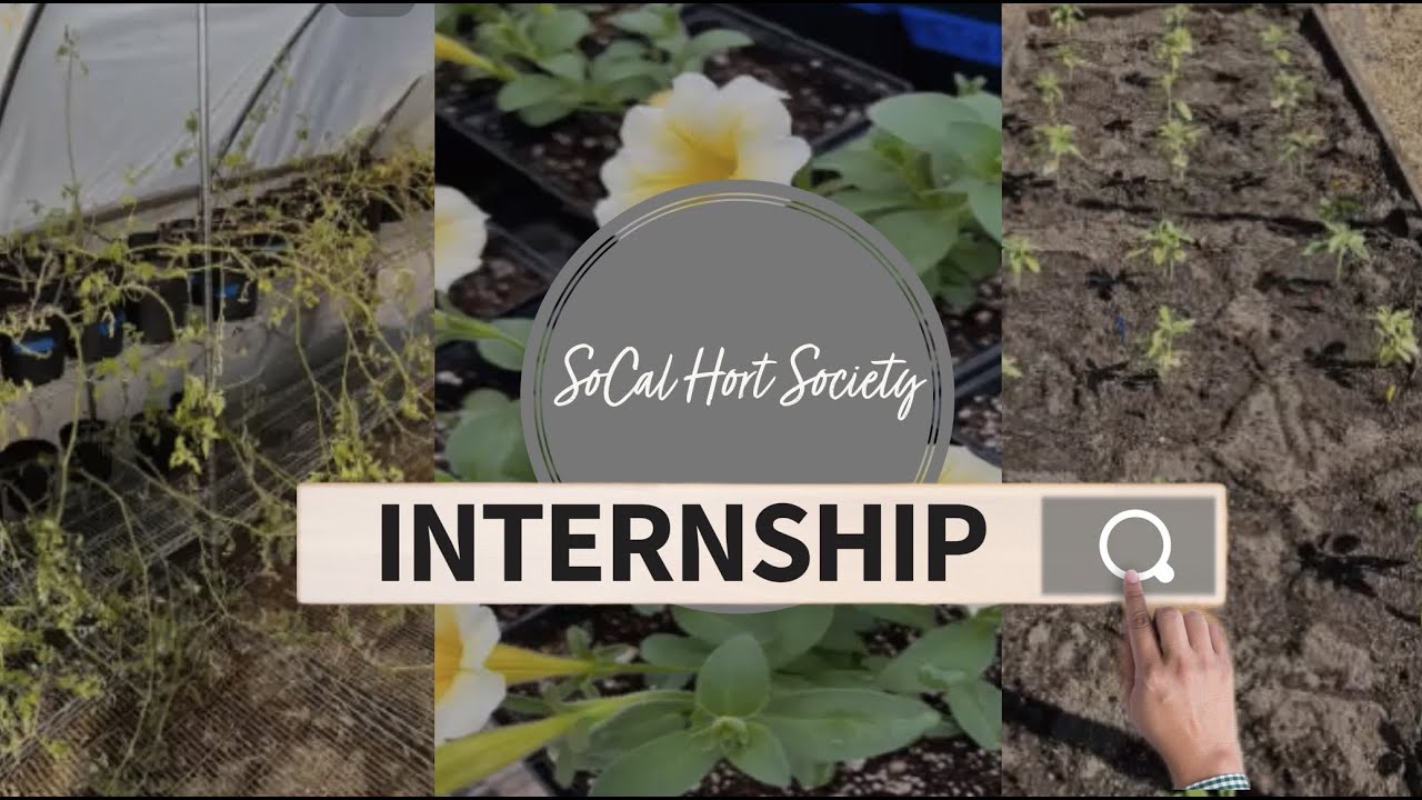 Fernando Garcia Ibarra Pierce College Internship Update on Growing Plants - YouTube