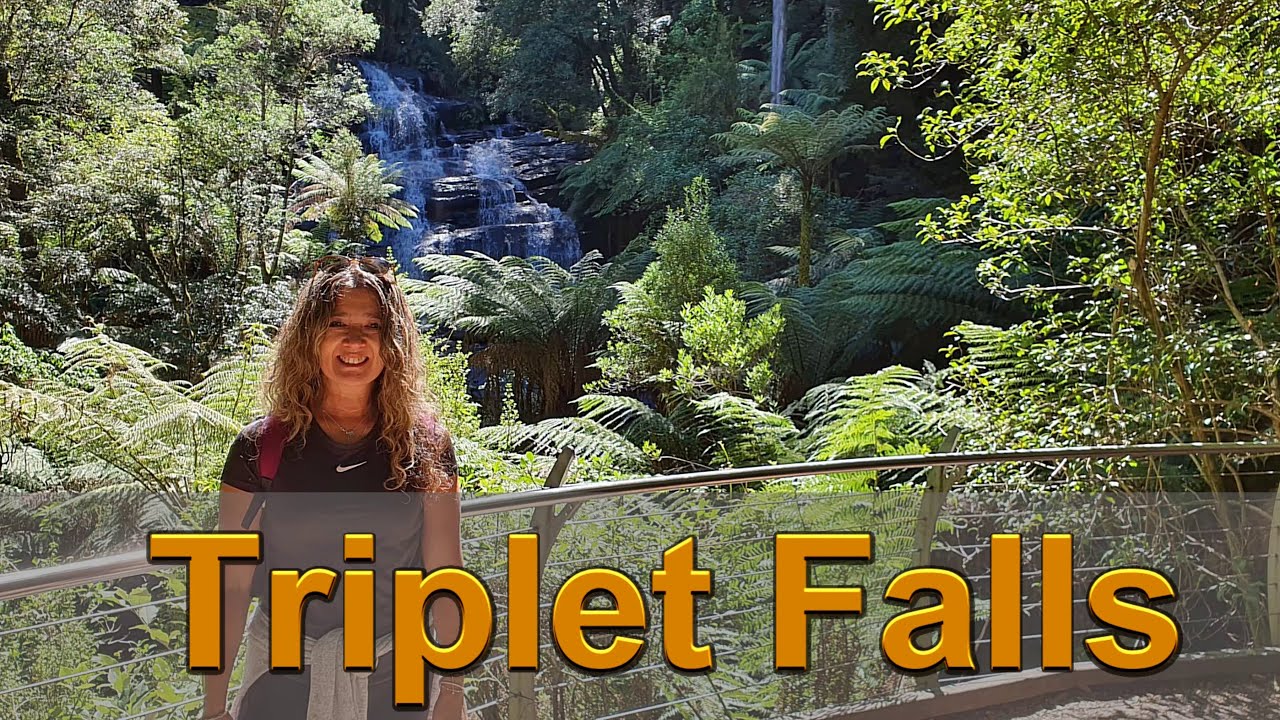 Discovering the Beauty of Triplet Falls Rainforest Walk, Otway National ...