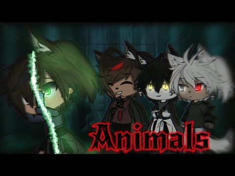 🐺Animals🐺|| ~GLMW~ gacha life||By Amir.[mp4]