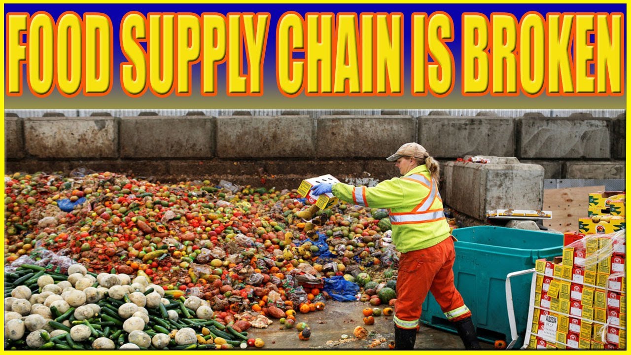 FOOD SHORTAGE? OUR FOOD SUPPLY CHAIN IS BROKEN - YouTube
