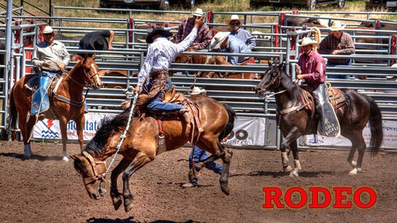 Tom Vona - Rodeo - YouTube