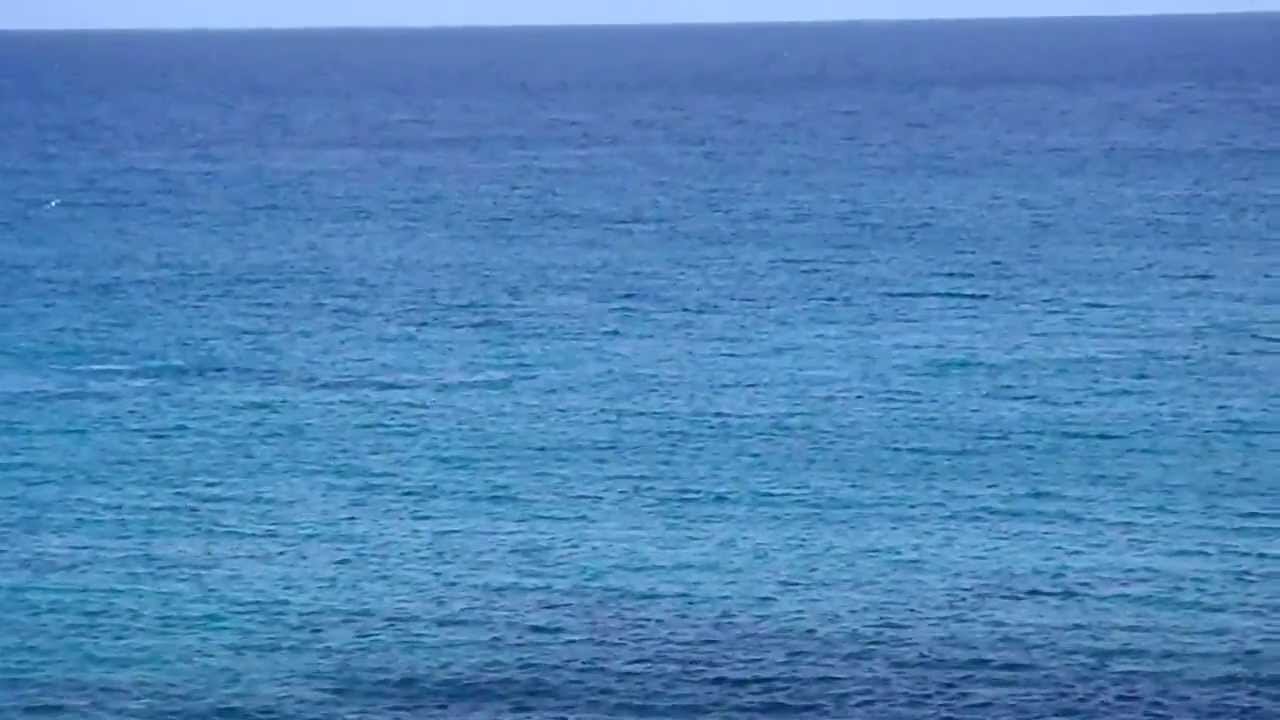 Right Whales - Point Ann - Fitzgerald River National Park - YouTube