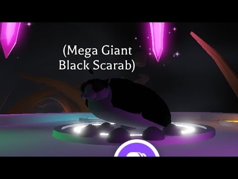 MEGA GIANT BLACK SCARAB (Ultra-Rare) - Fly Ride & Tricks Adopt Me - YouTube