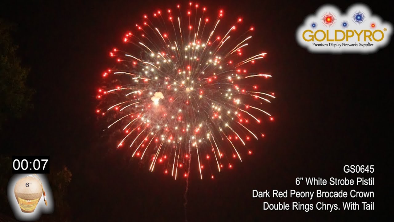 GS0645 - 6" White Strobe Pistil Dark Red Peony Brocade Crown Double ...