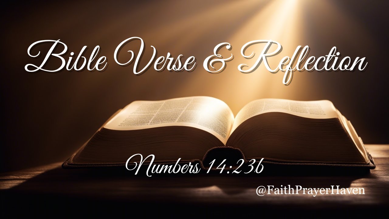 Today's Bible Verse & Reflection - Numbers 14:23b - YouTube