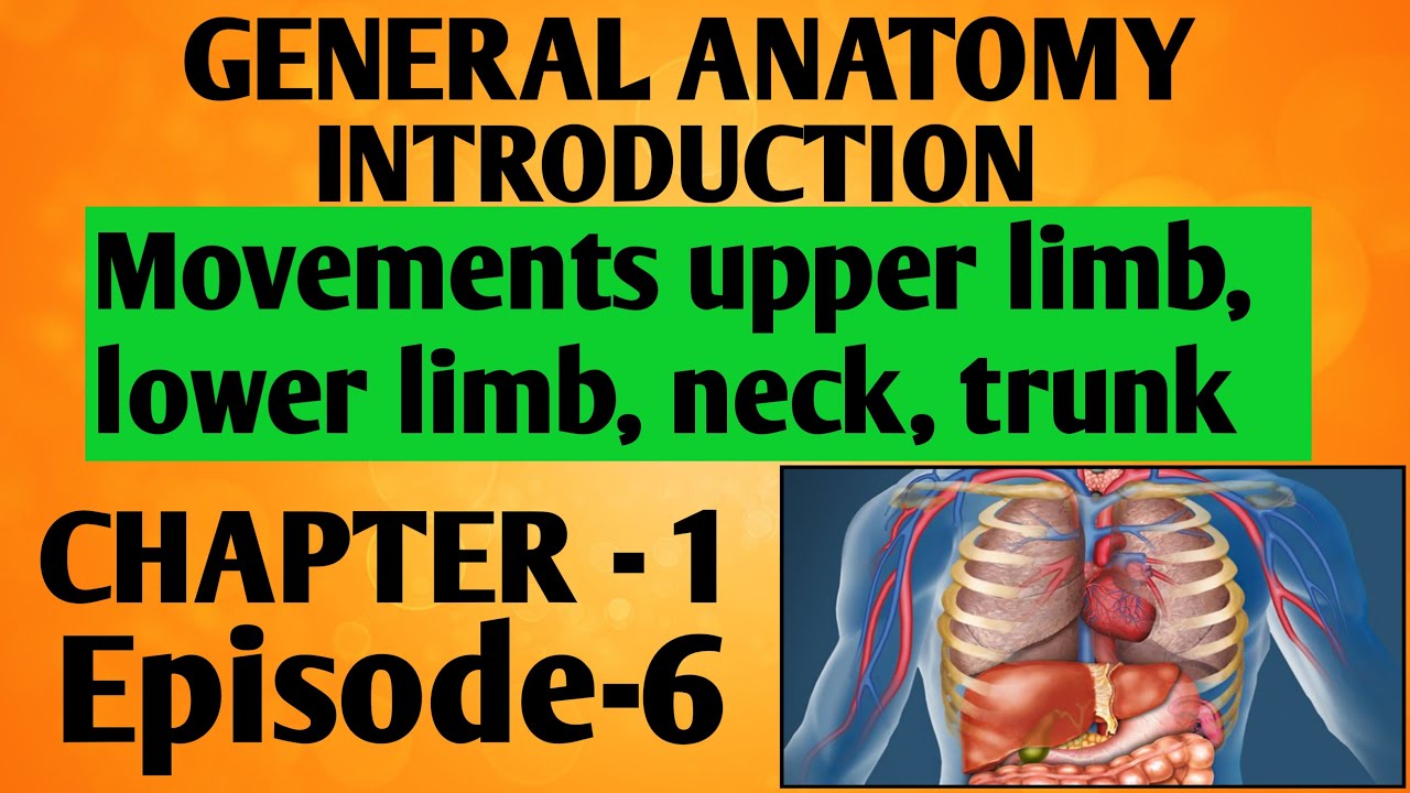 MOVEMENTS related to upper/lower limb, neck,trunk||Introduction chapter ...