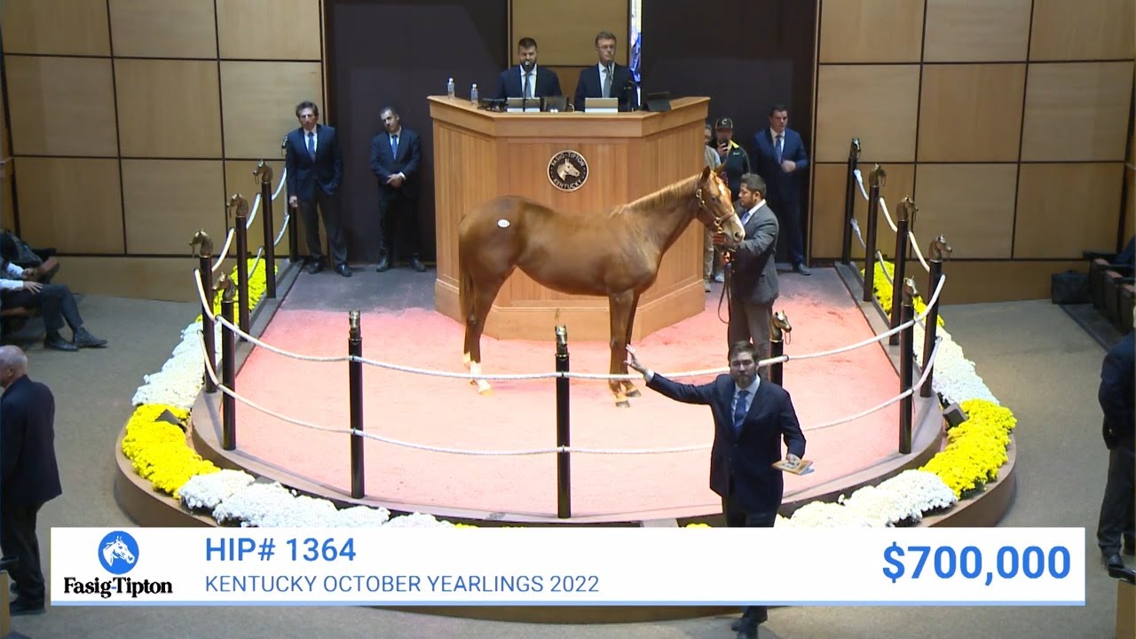 Gun Runner filly sells for $700,000 at Kentucky October Yearlings (2022 ...