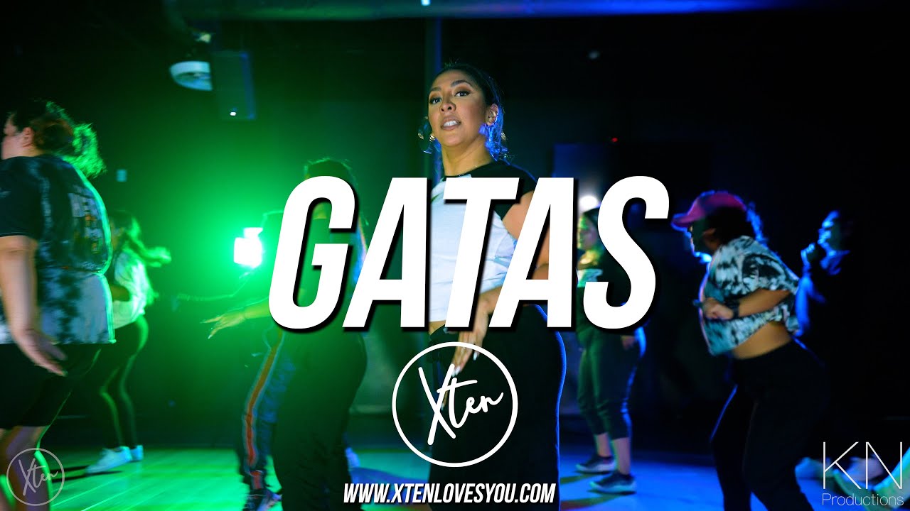 GATAS | Rauw Alejandro & Chris Palace - YouTube
