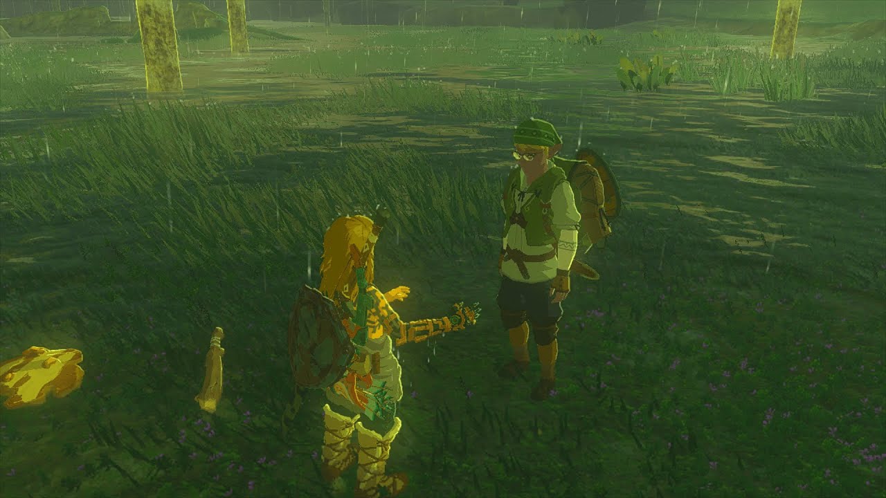 Link saves Wadder - The Insect/Bug guy - Zelda: Tears of the Kingdom ...