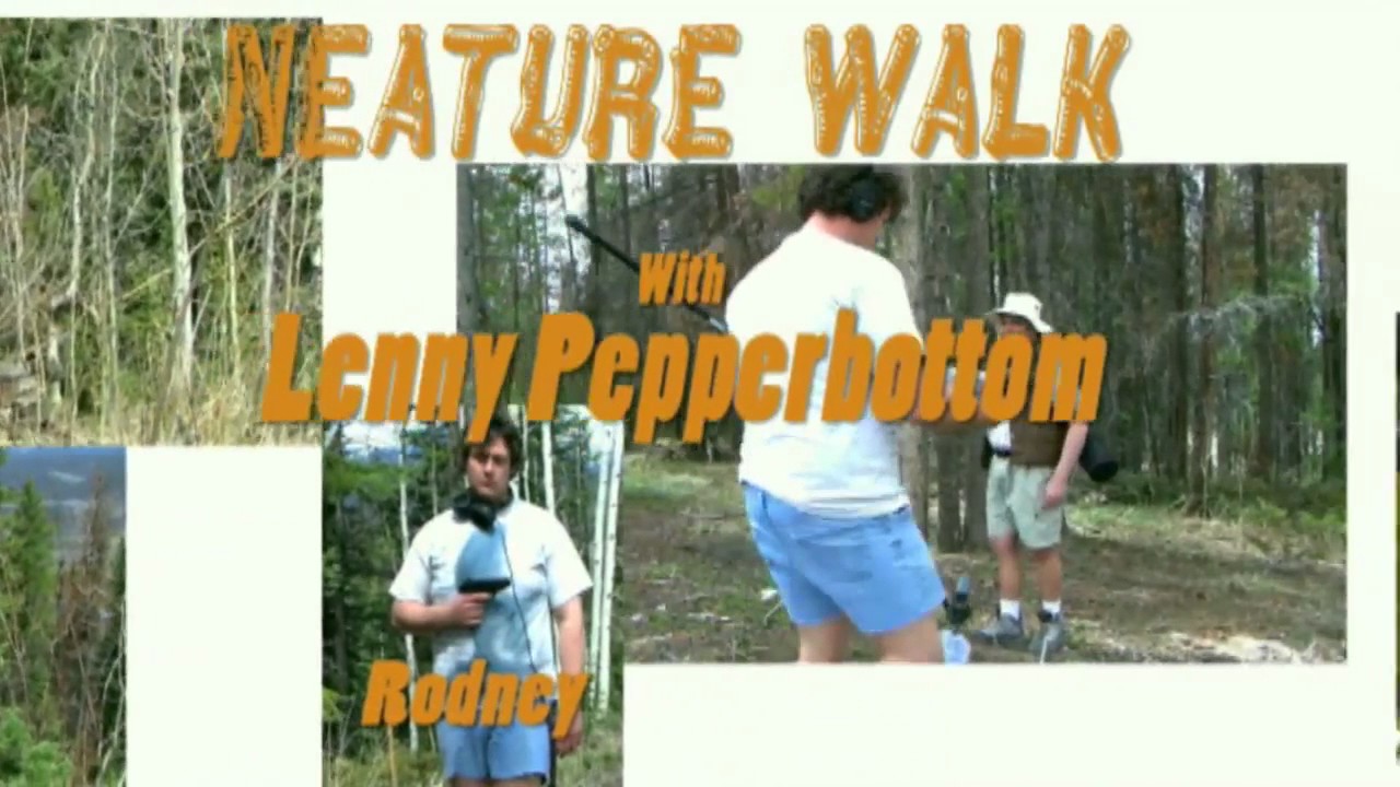 Neature Walk Transition Music- 1 Hour Loop - YouTube