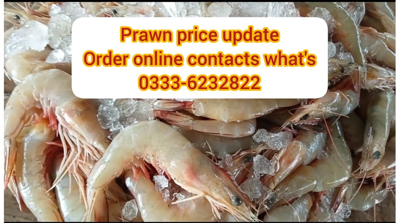 Prawn price update Karachi Fisheries| Sea Food Supplier - YouTube