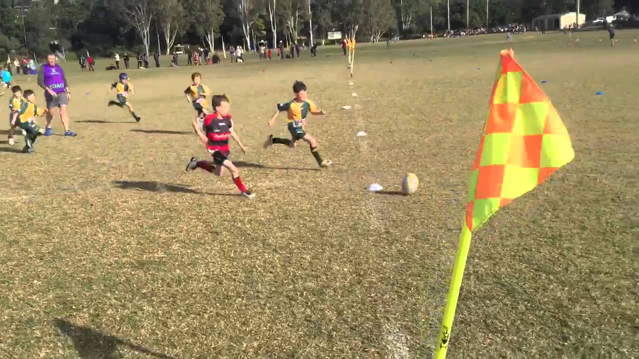 U6 Kenmore Bears Rugby awesome try from the kickoff - YouTube