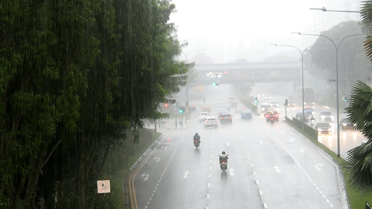 EP75 | Mild thunderstorm in the lightning capital of the world? - YouTube