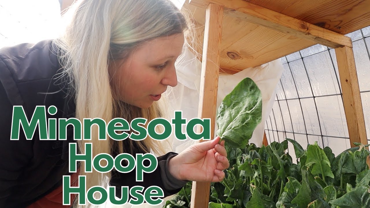 First Greenhouse Tour of 2023 - YouTube