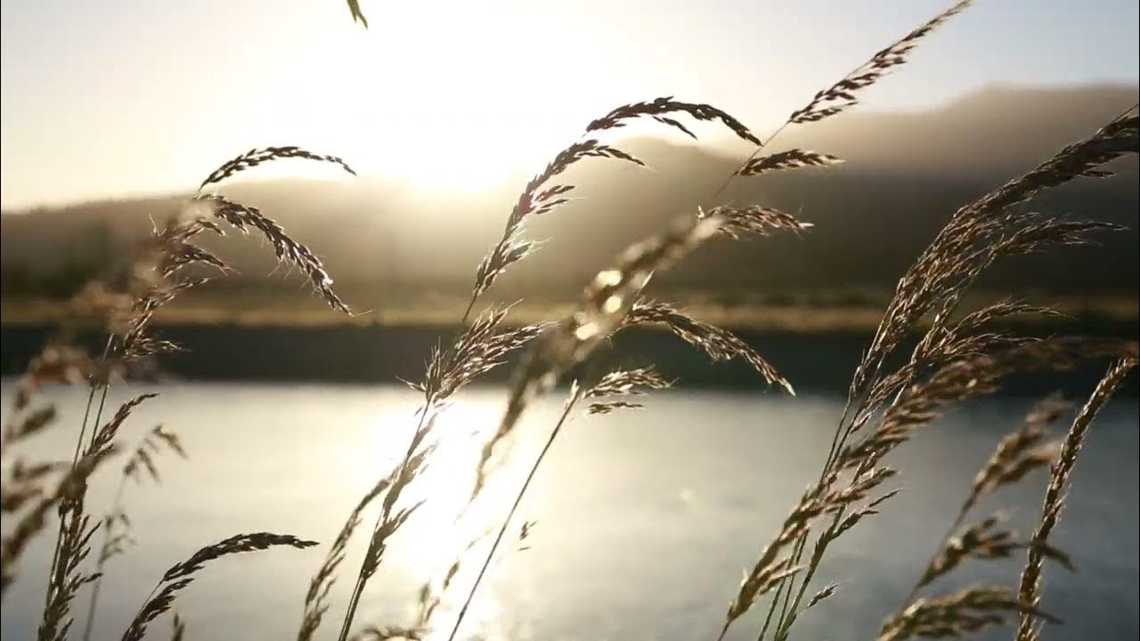 Peaceful Piano Worship | Echoes of Selah | Be Still and Know - YouTube