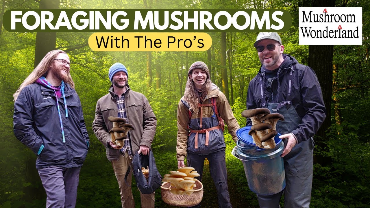 Wild Mushroom Scouting with the Pros! Adam DeLeo, Drew Ryan, Tim ...