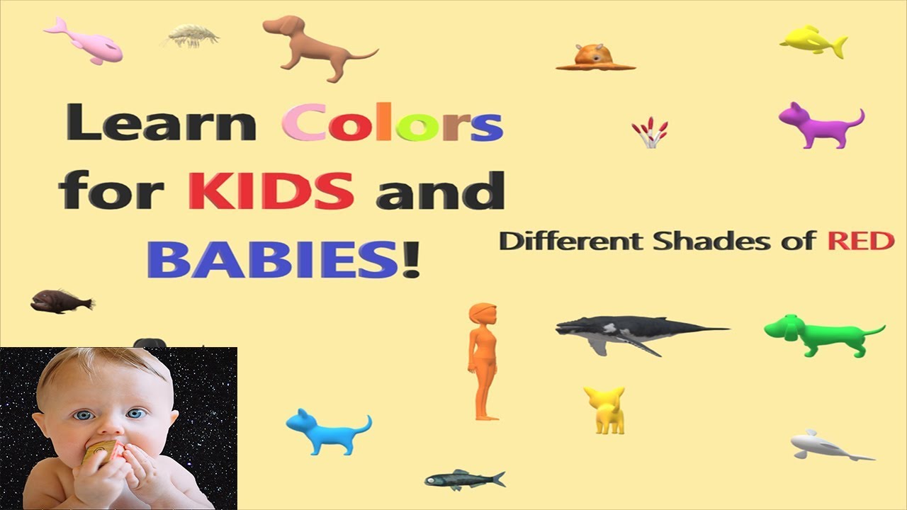 Colors Songs For Toddlers And Kids - Shades Of Red! - YouTube