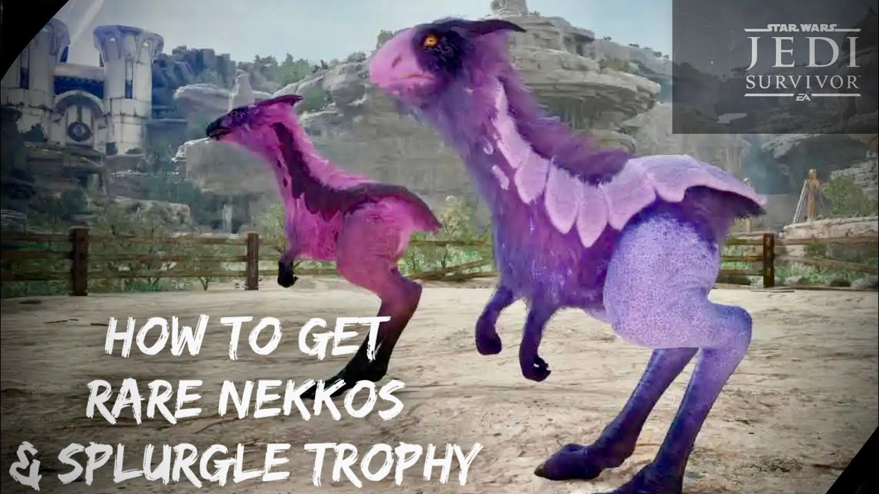 STAR WARS Jedi: Survivor- How To Get Splurgle Trophy (Hidden Trophy ...