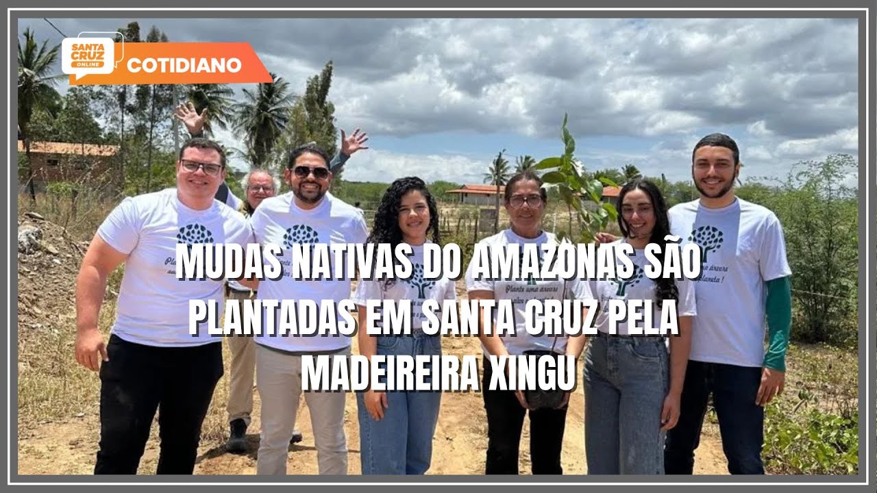 MUDAS NATIVAS DO AMAZONAS SÃO PLANTADAS EM SANTA CRUZ PELA MADEIREIRA ...