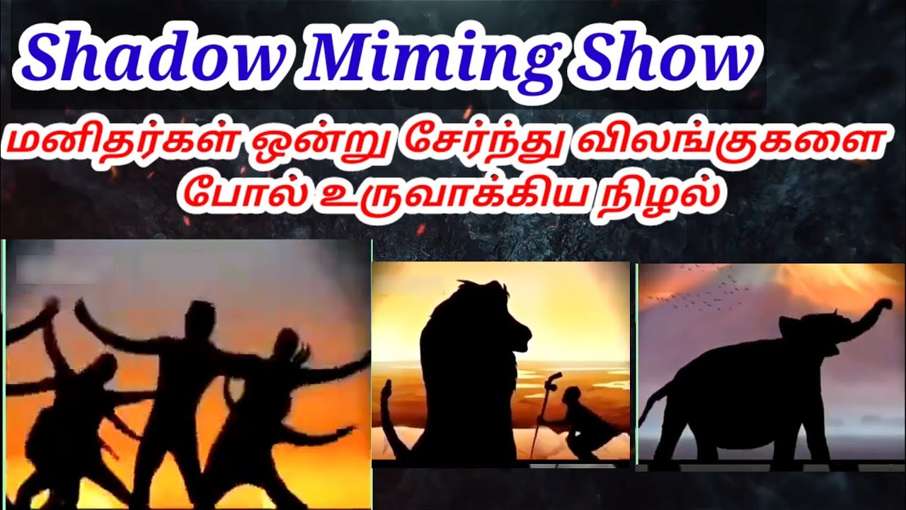 Shadow Miming Show - Humans Creates a Shadow of Wild Animals # ...