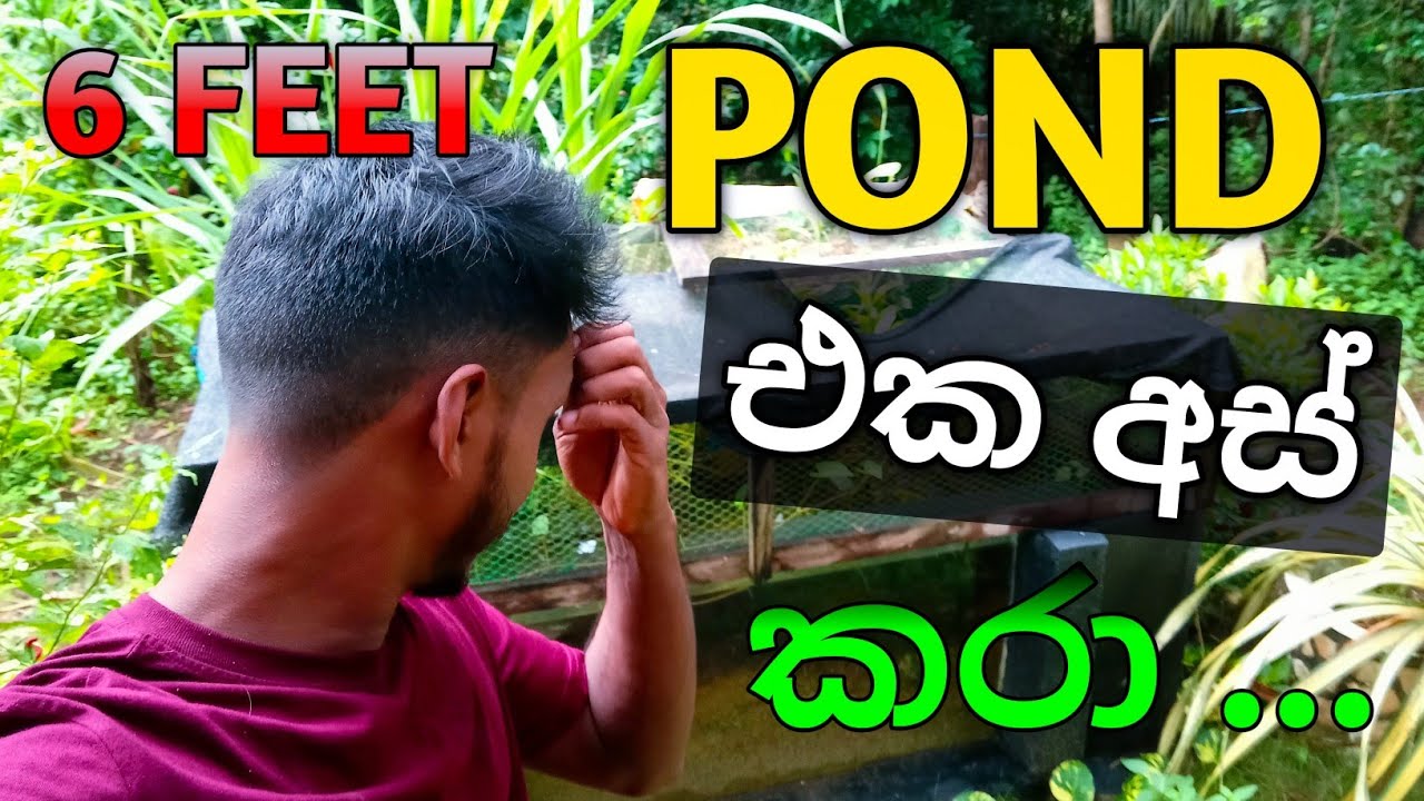 Pond එක අස් කරා ... 😬 The POND was Cleaned !! - YouTube