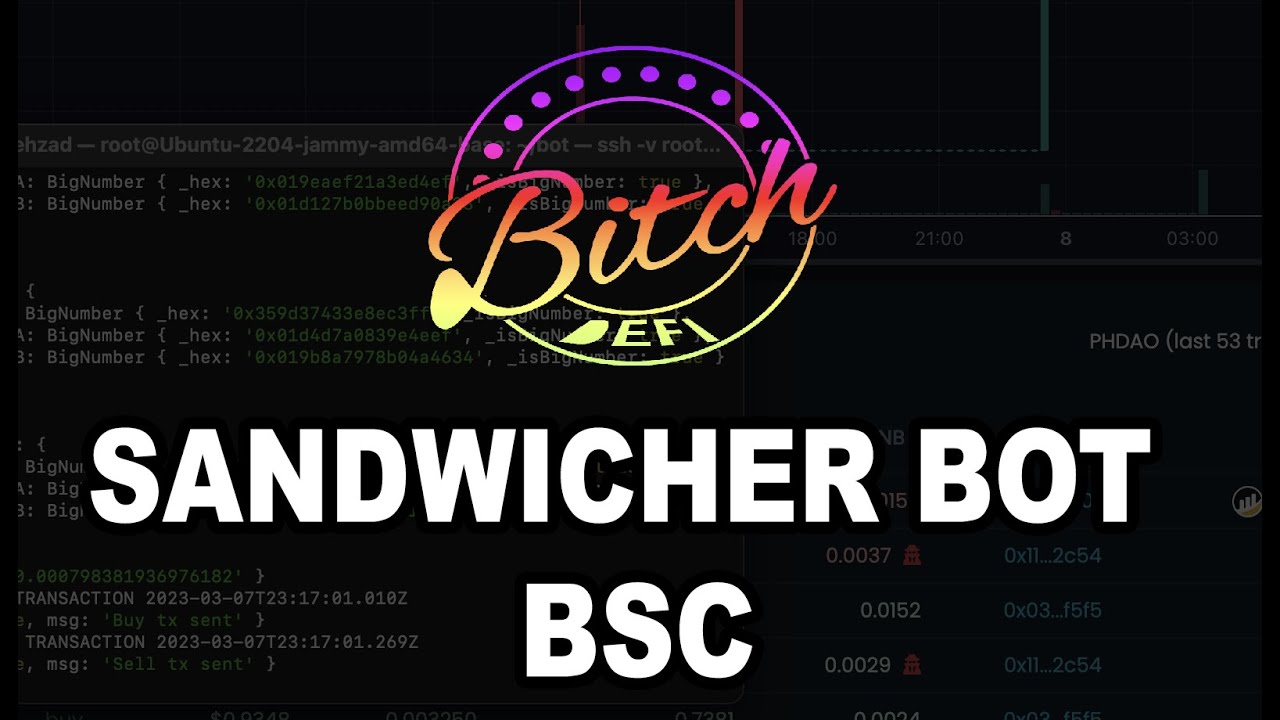 MAKE PROFIT WITH BSC SANDWICHER BOT - PRIVATE NODE - STEP BY STEP GUIDE ...
