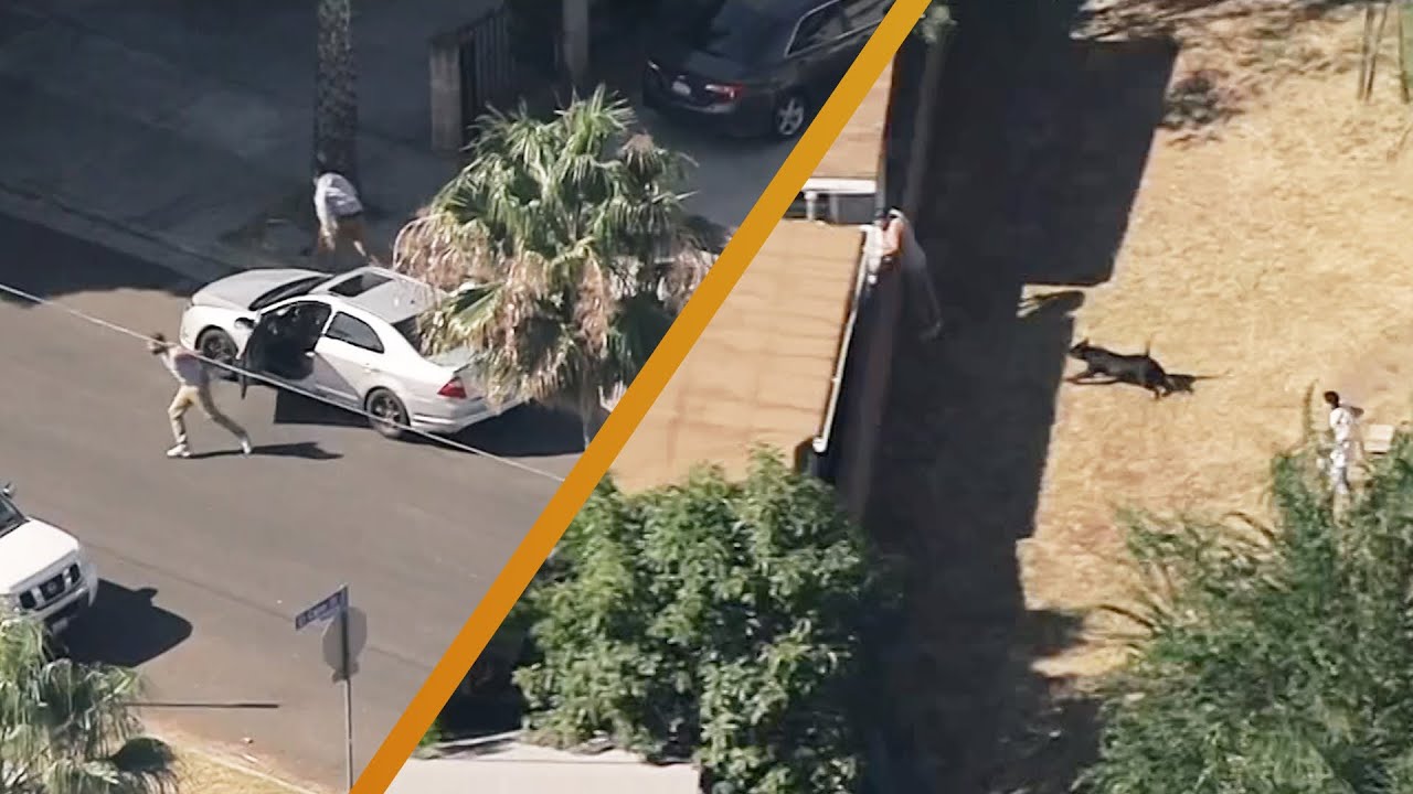 08/08/24: High-Speed Chase Ends with Dramatic Dog Chase - YouTube