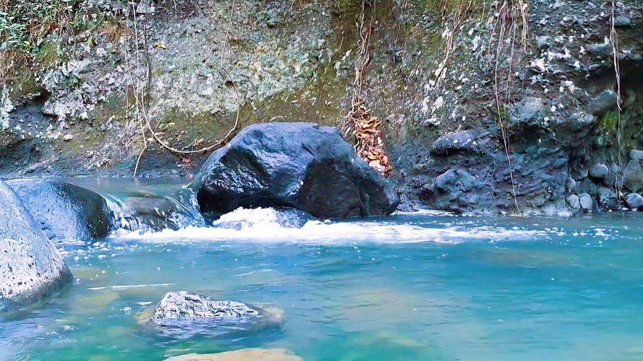 Tranquil Mountain Stream and Soothing Water Sounds for Meditation and ...