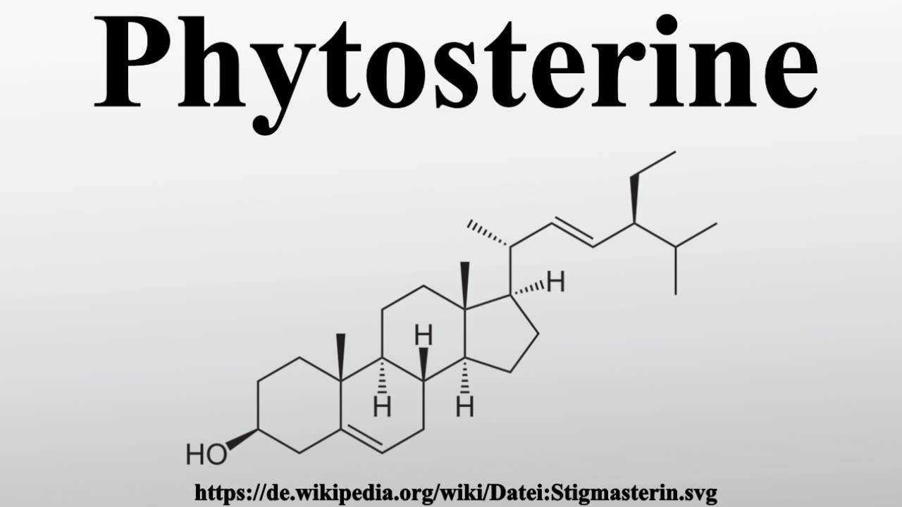 Phytosterine - YouTube